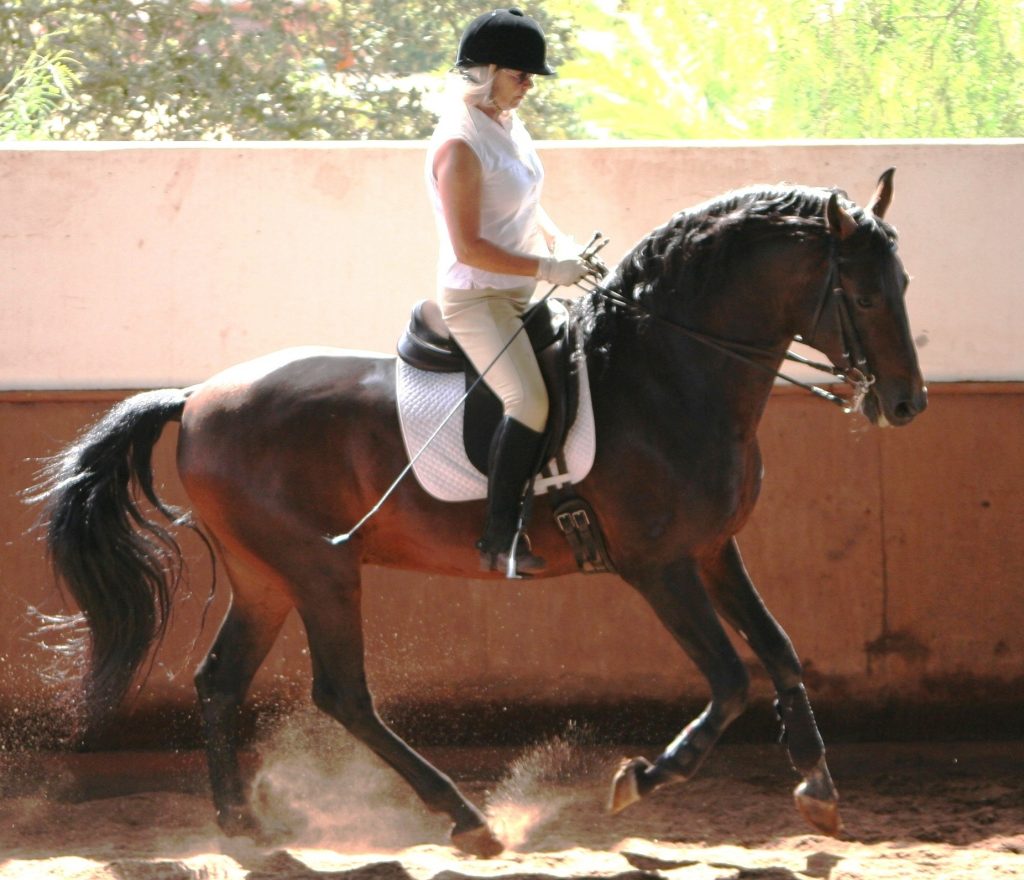 Breathe Life into your Riding | Ride Magazine