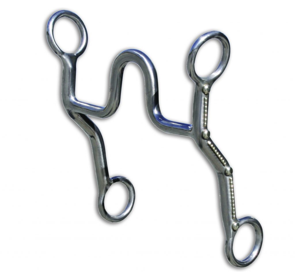 When to Transition to a Bridle | Ride Magazine